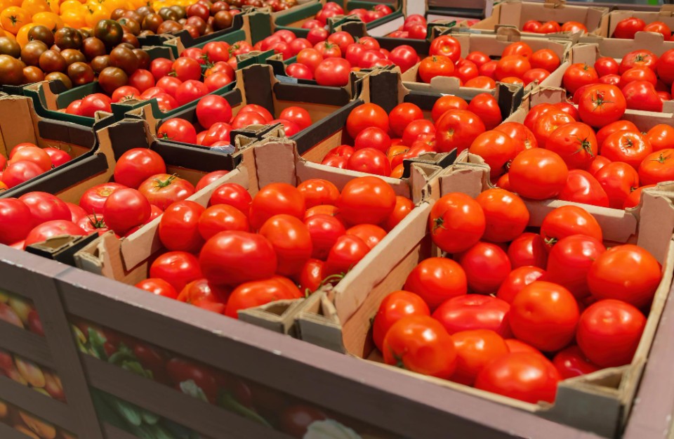 Tomato prices to Rs. 9000 per quintal from August 15 | KhetiVyapar