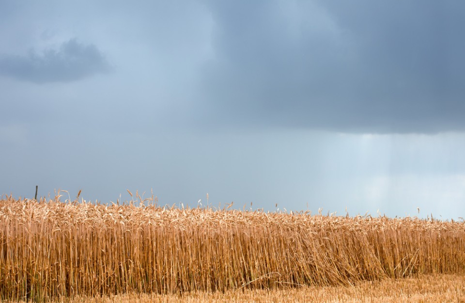 Delhi Weather Update Today 04 April 2024 and Delhi Air Quality index ...