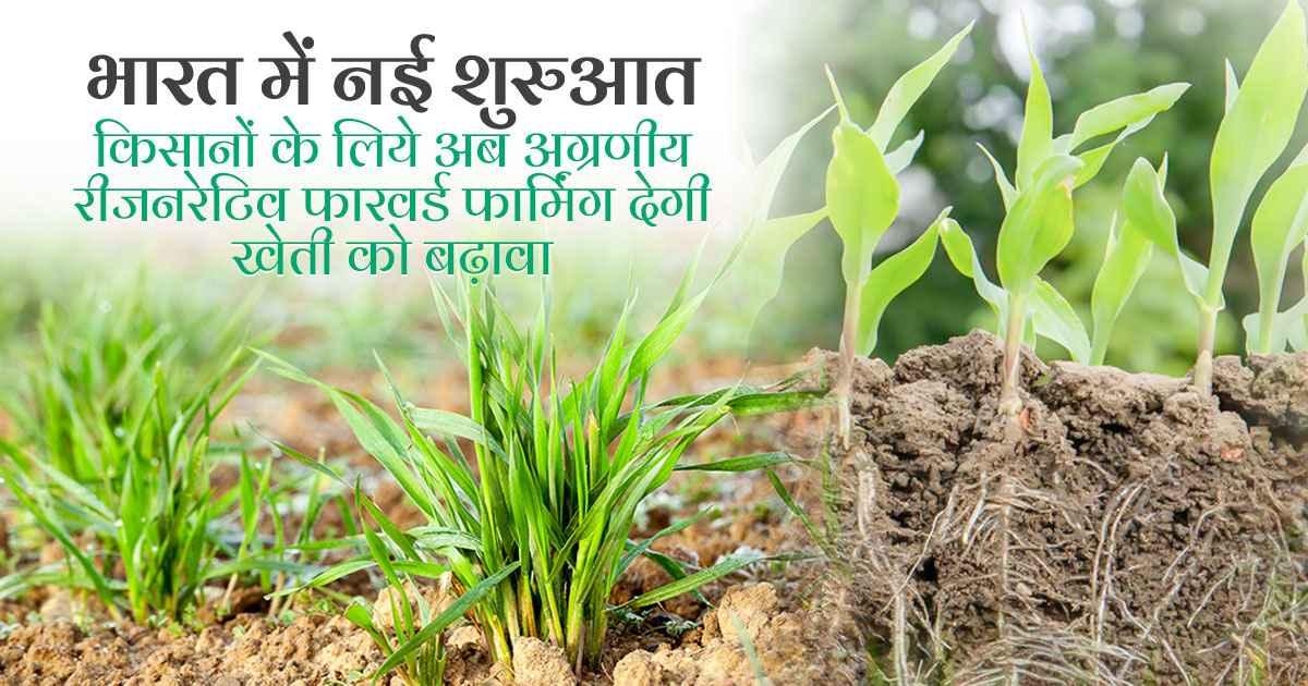 What is regenerative farming, benefits and challenges | KhetiVyapar