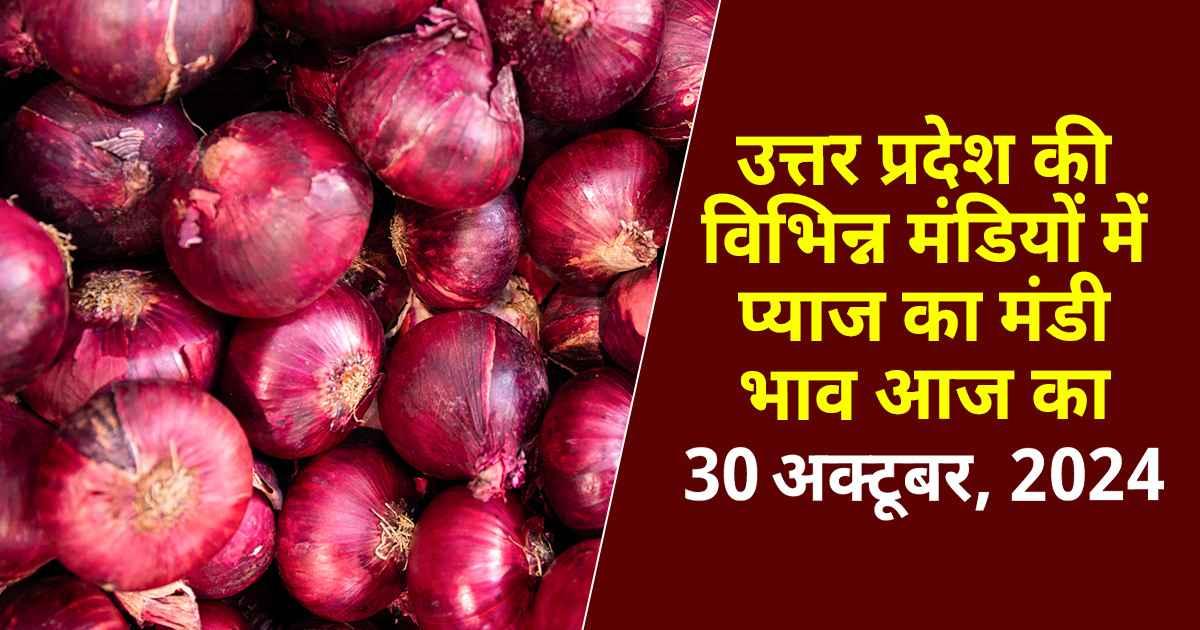 Onion price today | Onion rate today | KhetiVyapar