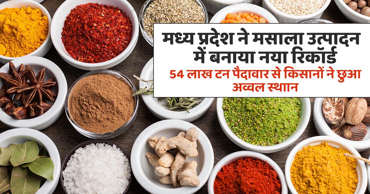 MP number 1 in spice production, record of 54 lakh tonnes | KhetiVyapar