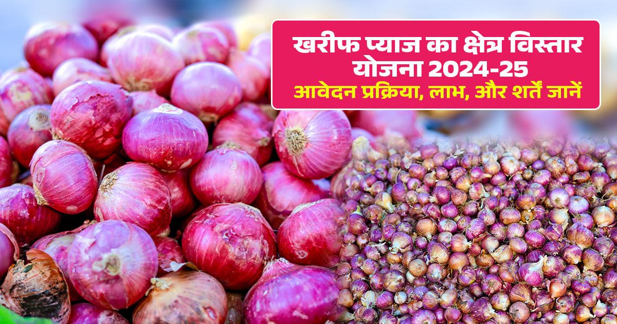 Apply for Kharif Onion Scheme 2024-25 | KhetiVyapar