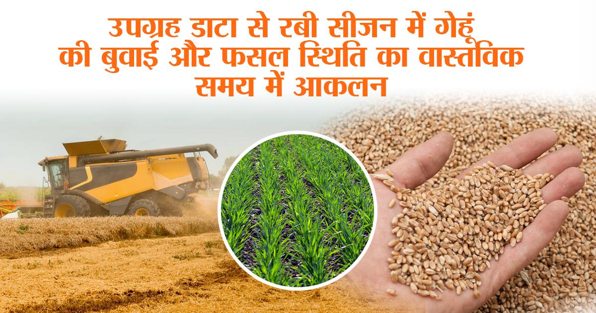 Isro Conducts Real Assessment Of Wheat Sowing And Crop Status For Rabi