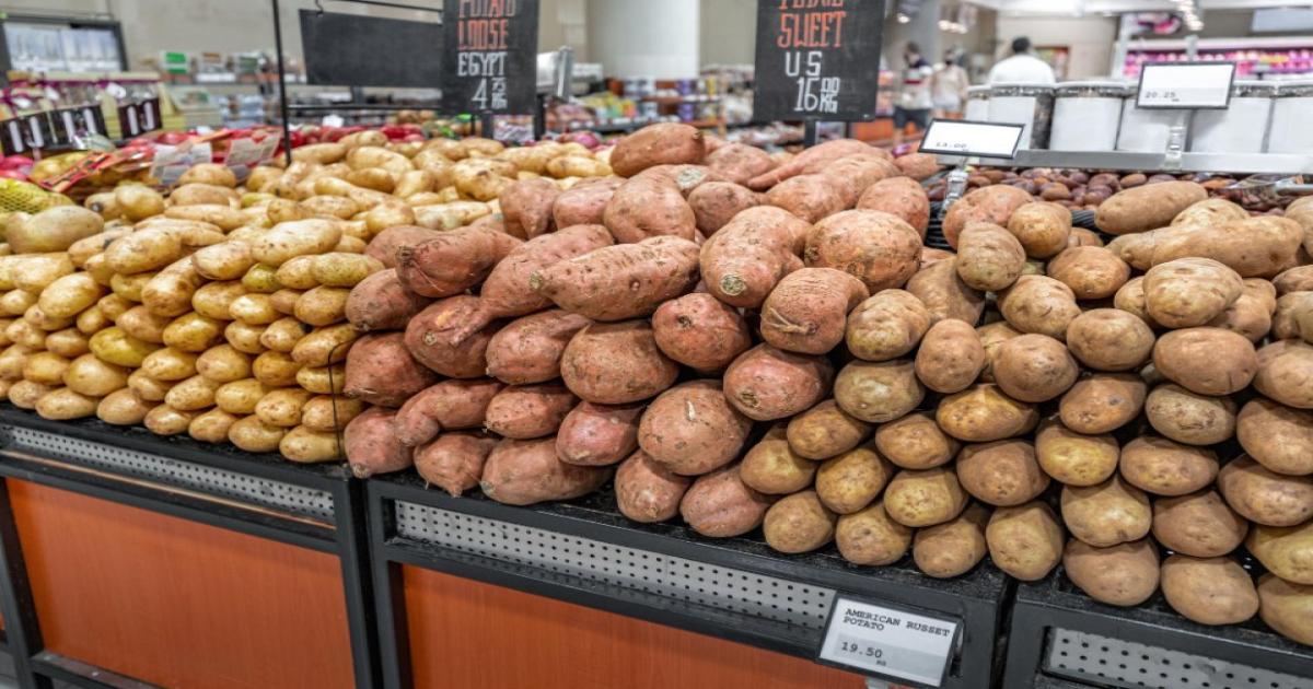 Potato Price Today – What Are the Rates in Punjab and Madhya Pradesh ...