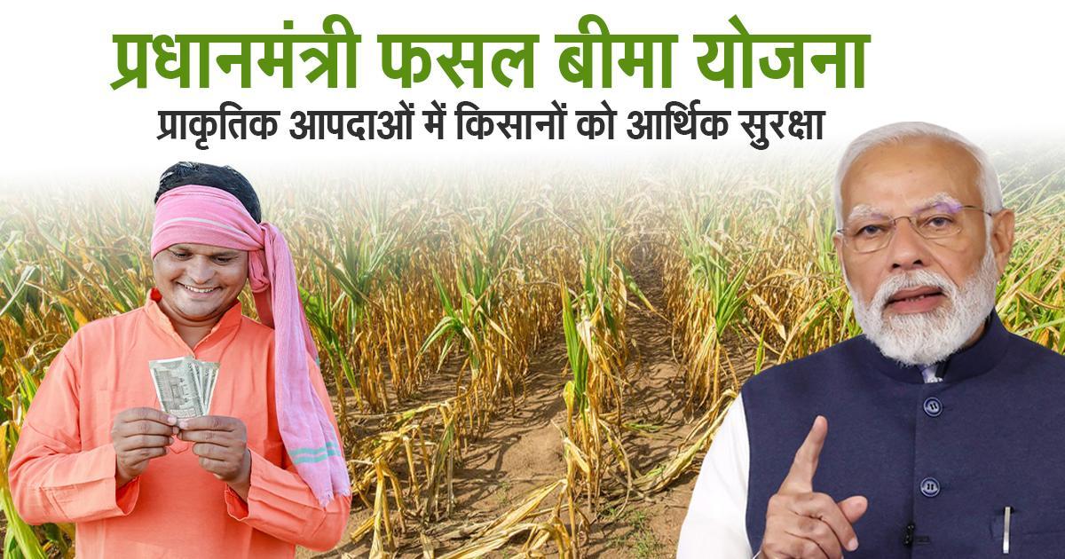 PM Crop Insurance Scheme 2025: Last date for application is 31st July ...