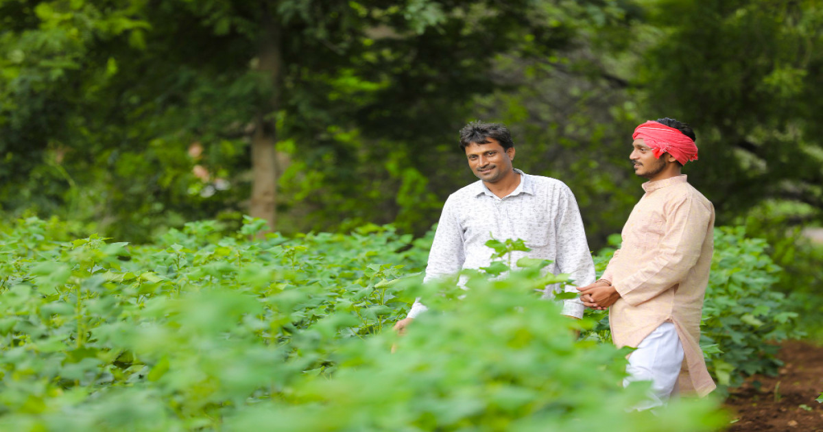 How PKVY and MOVCDNER Support Organic Farmers Across India | KhetiVyapar