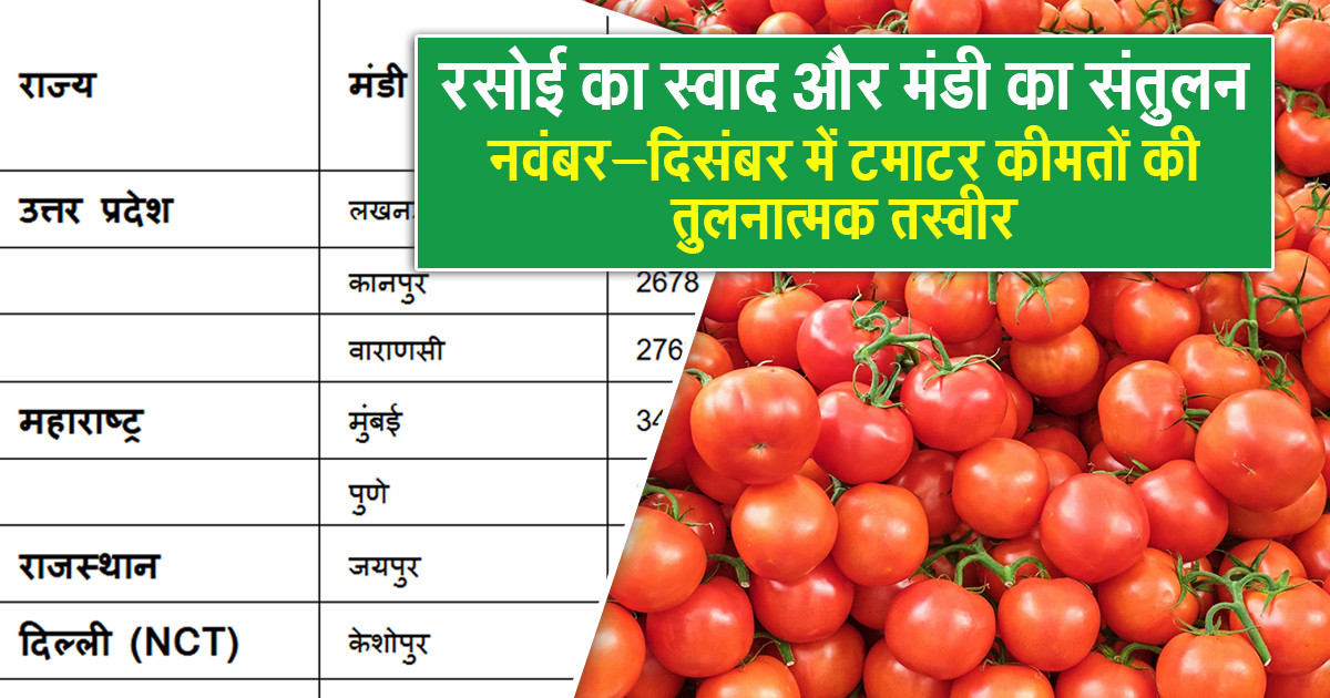 Tomato Price Trend in India: November–December 2025 Mandi Analysis ...