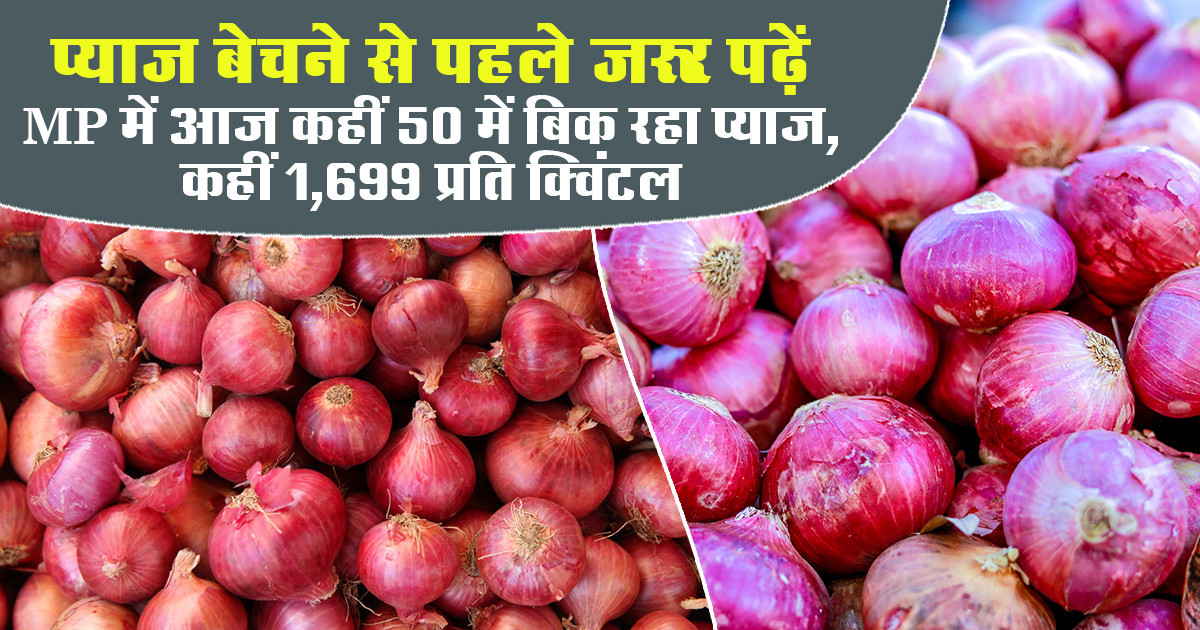 Maharashtra and Delhi, Bihar Onion Prices Today (24 January, 2026 ...