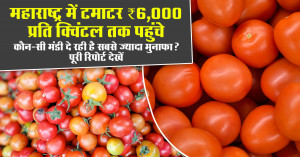 Mandi Bhav | Daily Mandi Rates | Mandi Bhav Today | Latest Mandi Rate ...