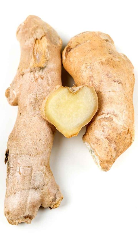 Rhizome Rot Of Ginger